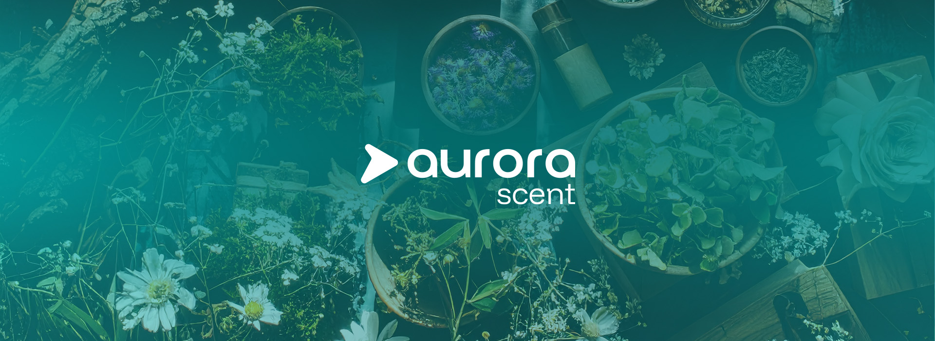 Sensory Scent - Scent delivery systems for use in education, retail and ...